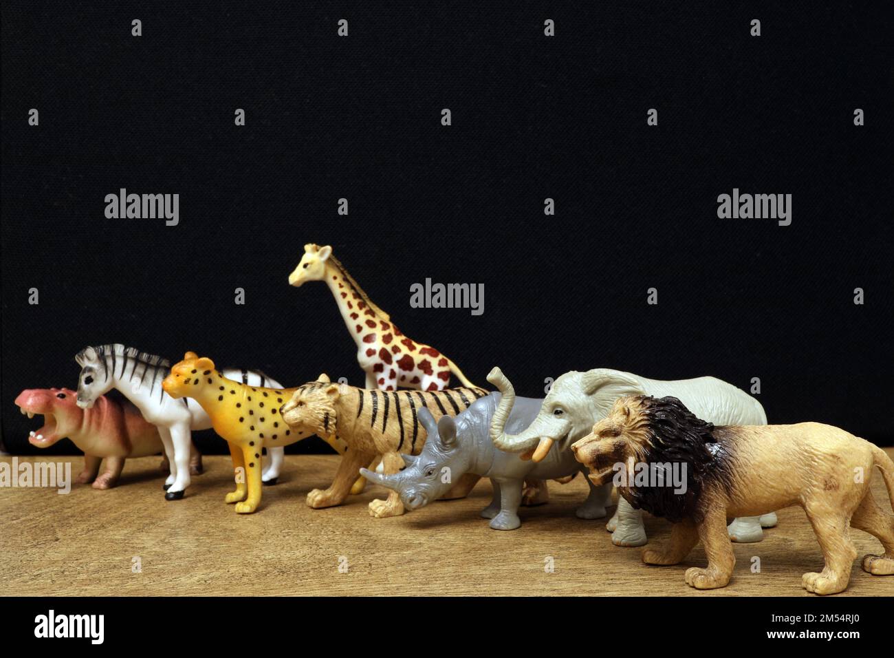 Group of jungle animals toys isolated over black background. Plastic ...