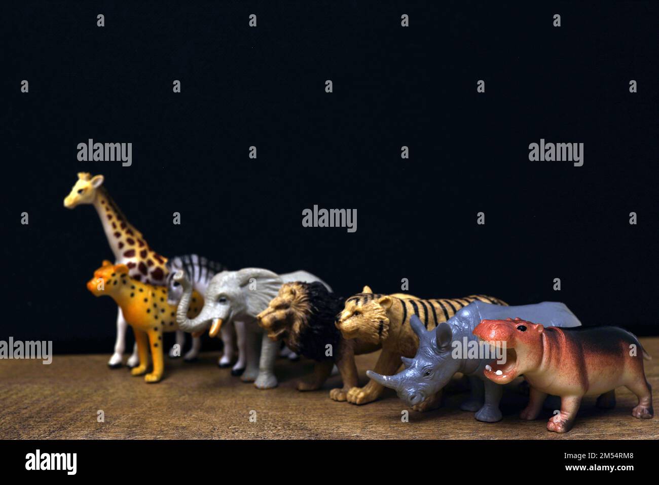Group of jungle animals toys isolated over black background. Plastic ...