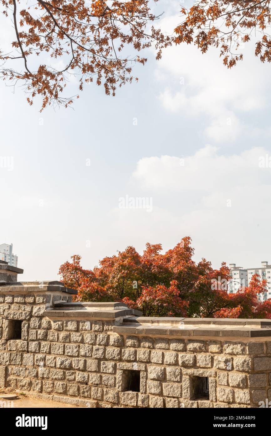 autumn landscape, scenery of Suwon Hwaseong in Korea Stock Photo - Alamy