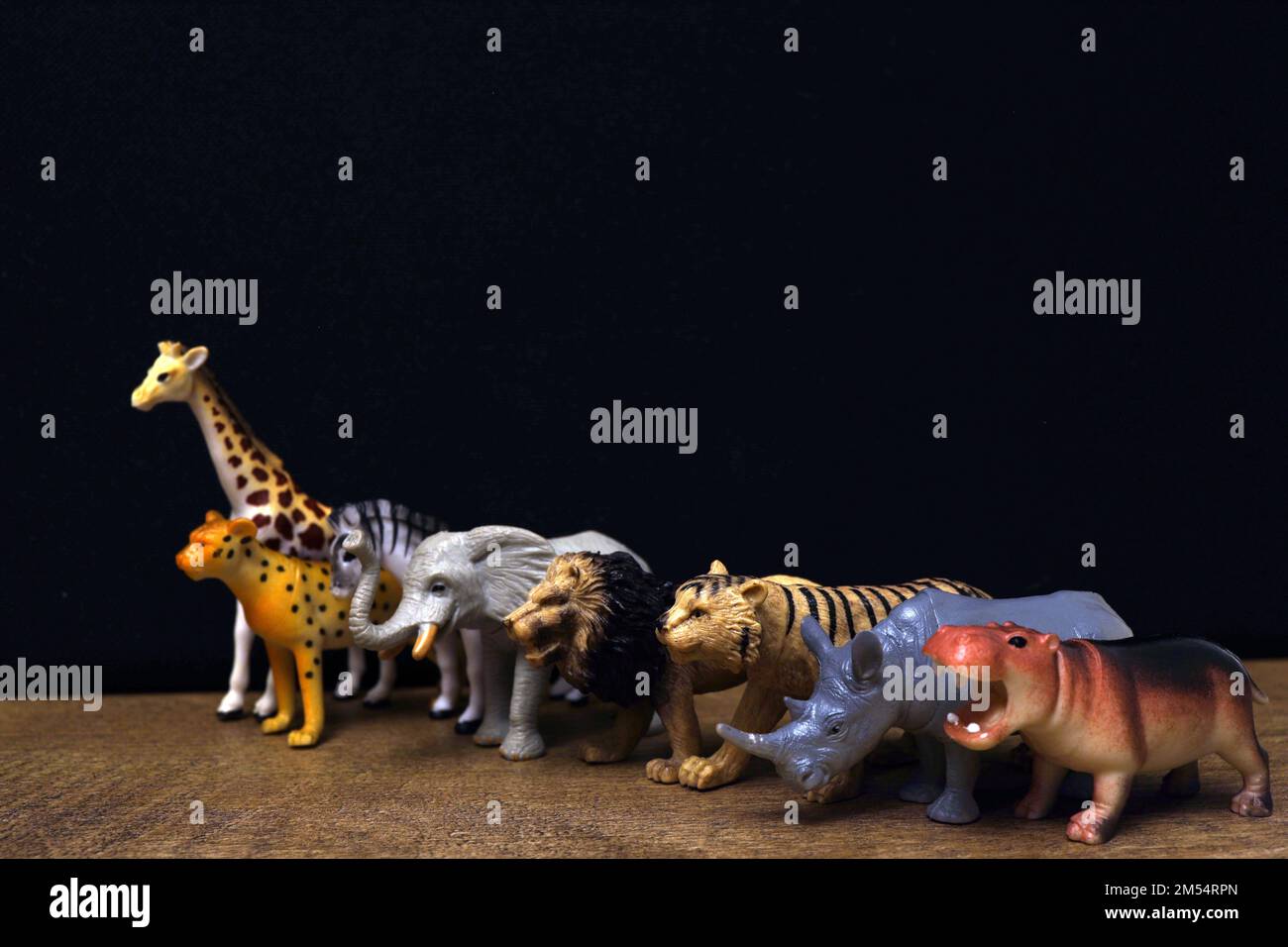 Group of jungle animals toys isolated over black background. Plastic ...