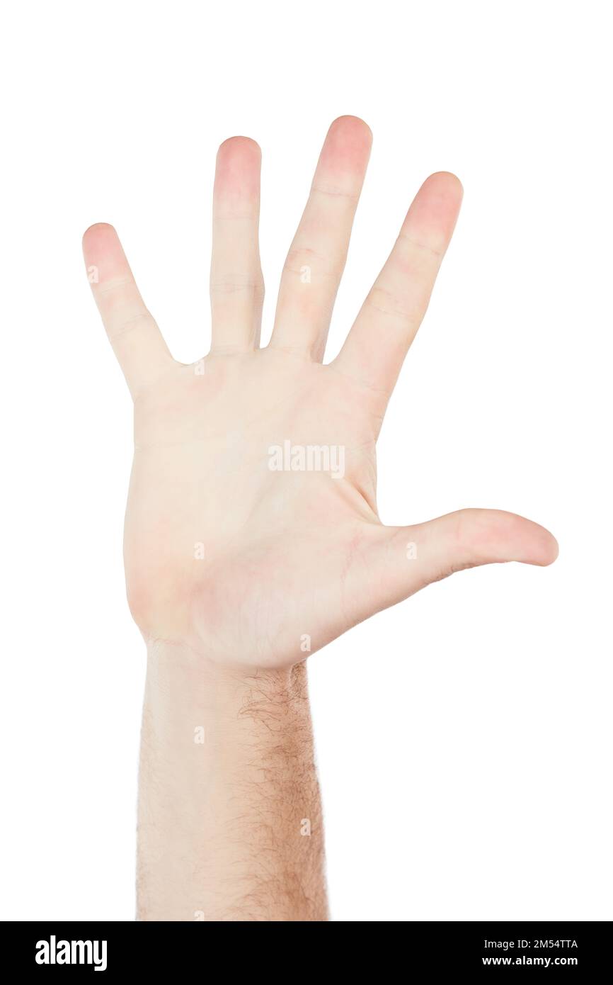 Hello. Cropped studio shot of a man showing the number five with his ...