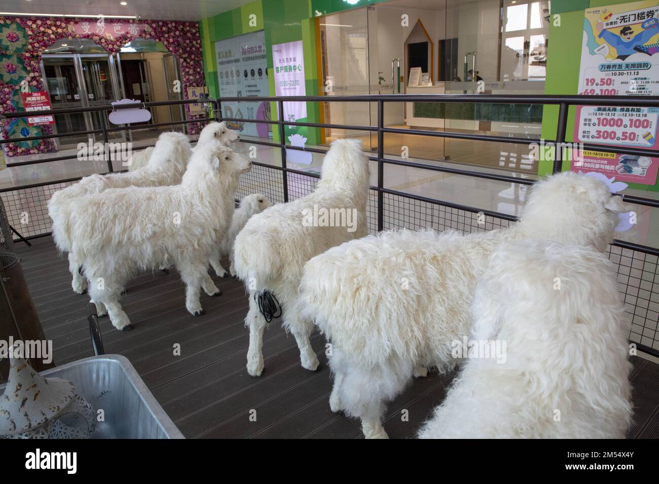 A group of furry sheep models showed up in a shopping center in ...