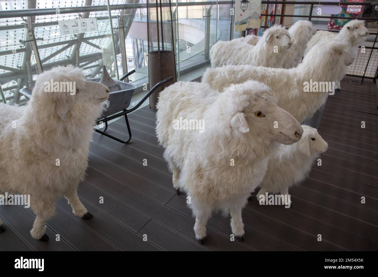 A group of furry sheep models showed up in a shopping center in ...