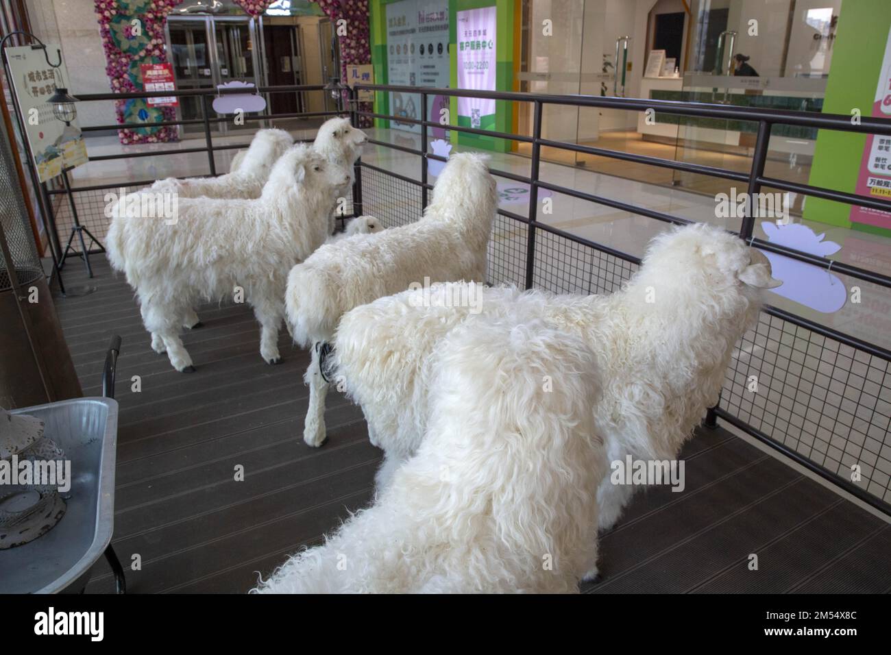A group of furry sheep models showed up in a shopping center in ...