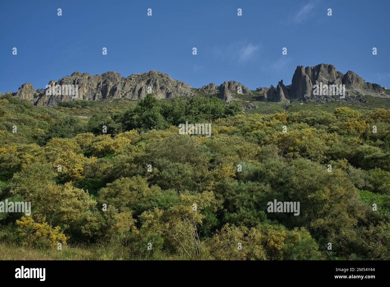 A beautiful view of mountainous landscape with trees in a sunny day in ...