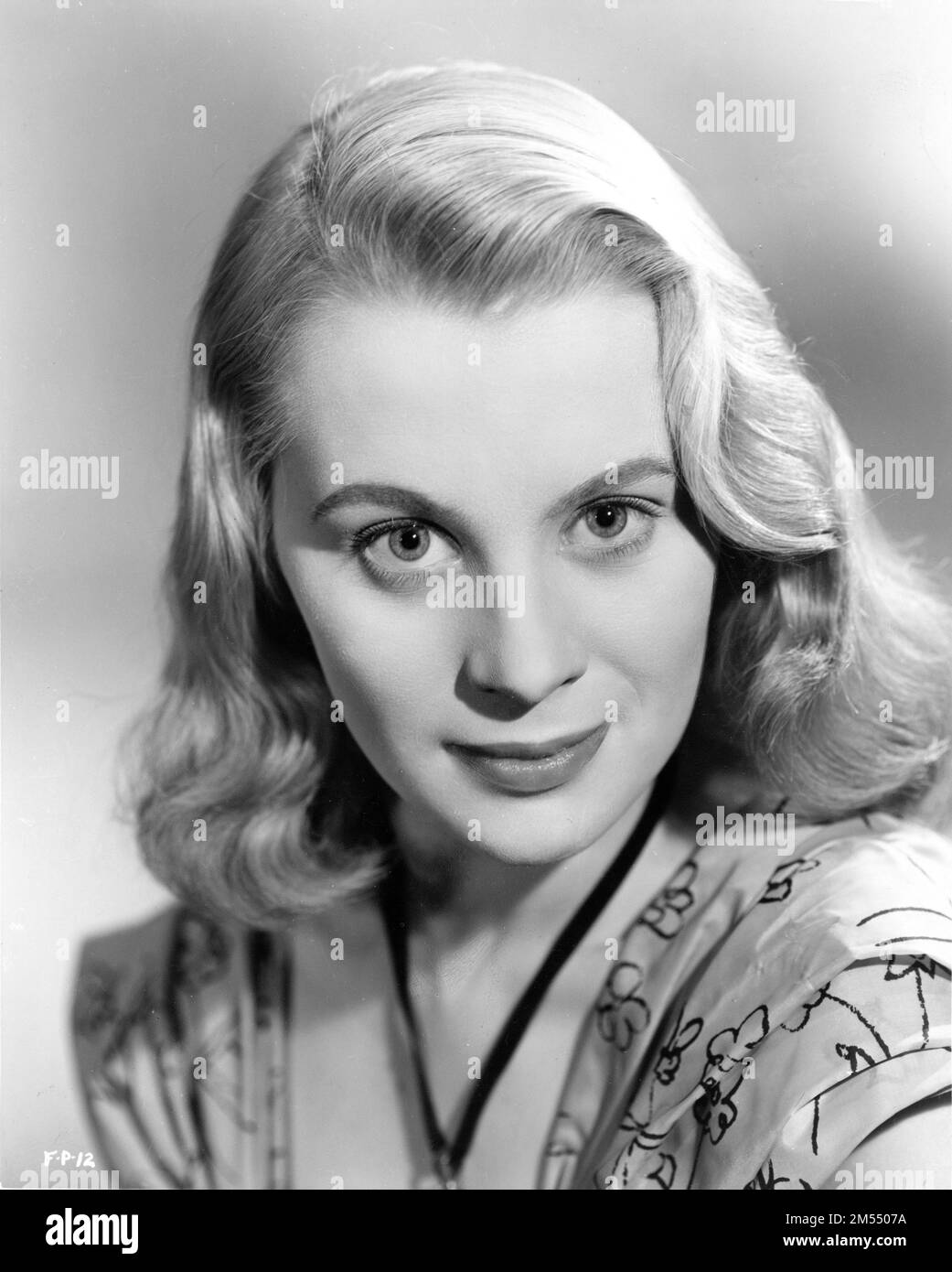 Mosca bianca Black and White Stock Photos & Images - Alamy