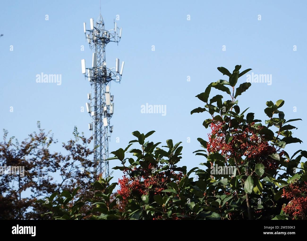 YICHANG, CHINA - DECEMBER 11, 2022 - A 5G base station communication ...