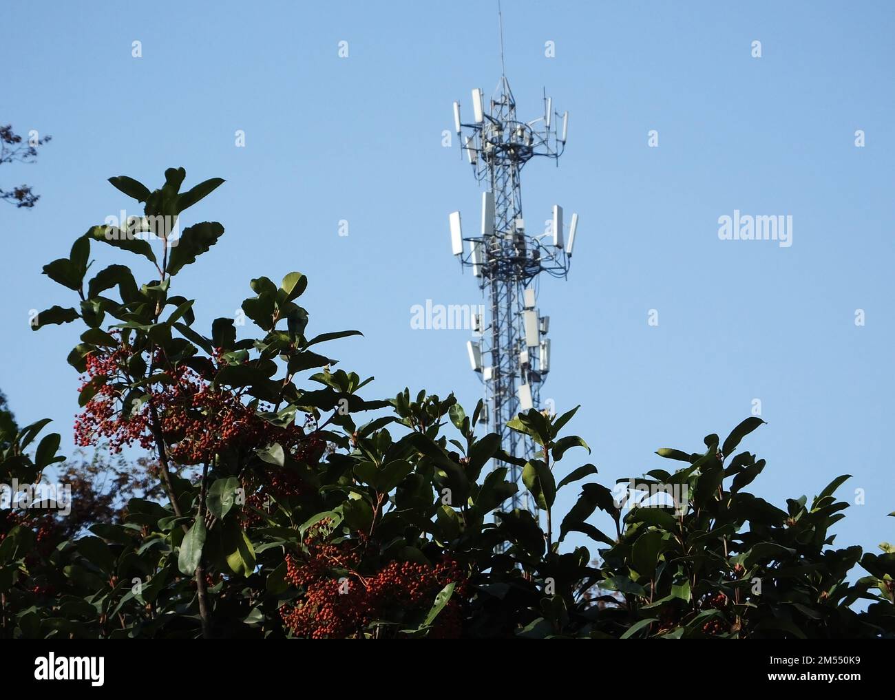 YICHANG, CHINA - DECEMBER 11, 2022 - A 5G base station communication ...