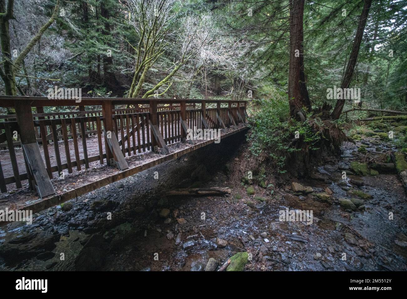 Preserve ecosystem and nature hi-res stock photography and images - Alamy