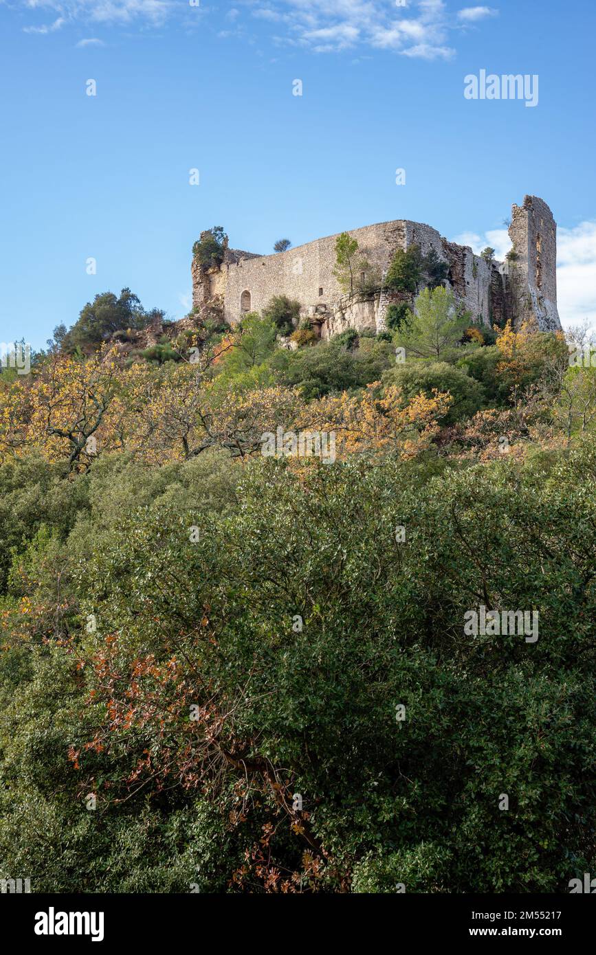 Ruins of the castle of Castellas, over Rocbaron and Forcalquieret in ...