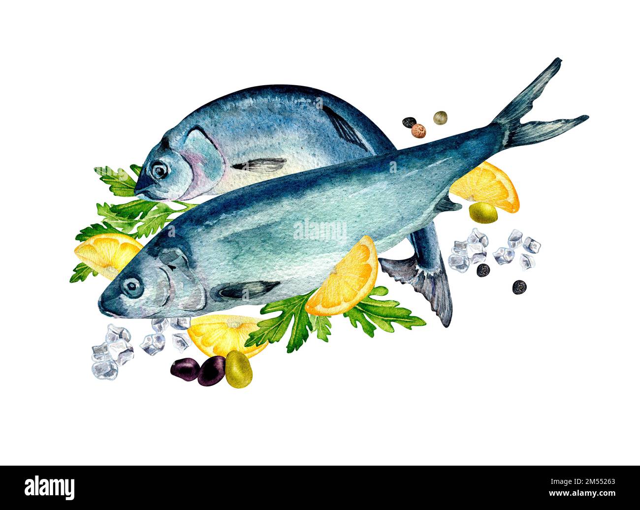 Set of herring and lemon slices watercolor illustration isolated on ...