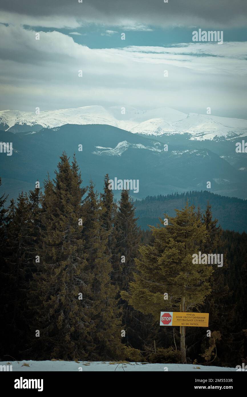 Warning sign near fir forest landscape photo Stock Photo - Alamy