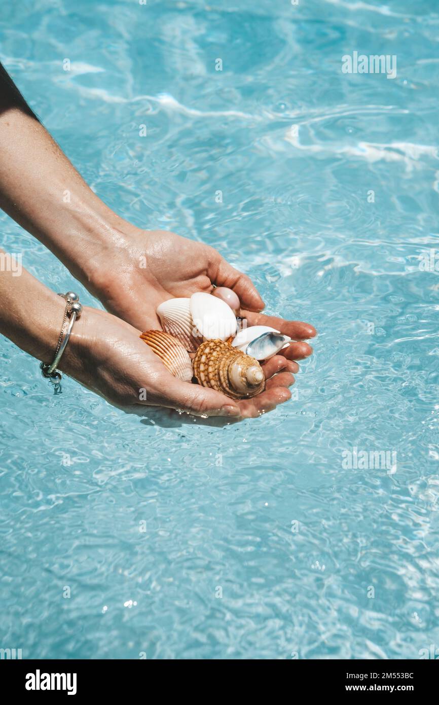 A vertical closeup of a Caucasian female's hands holding shells in blue ...