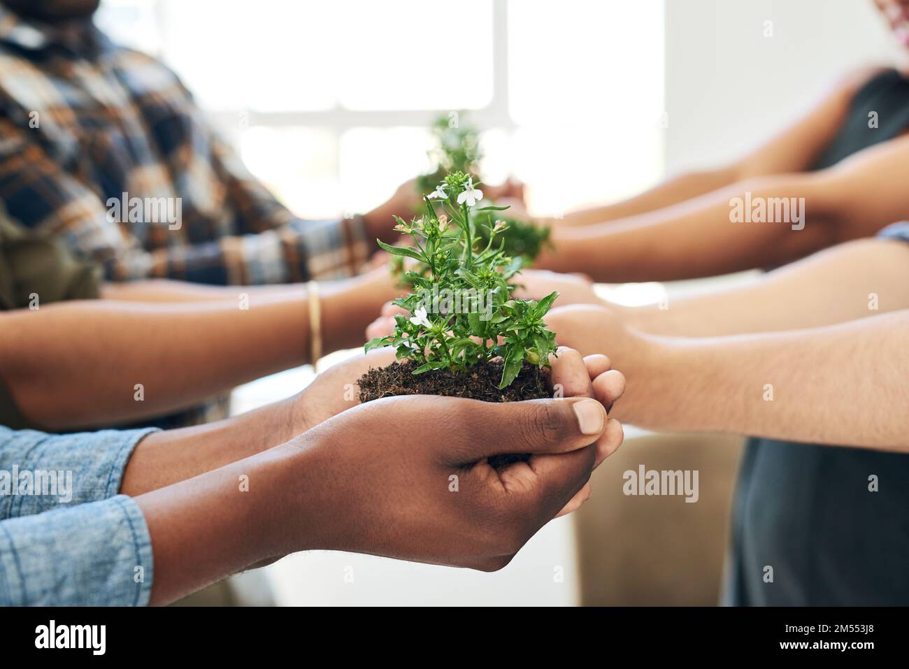 Get together and grow something beautiful. a team of colleagues holding ...