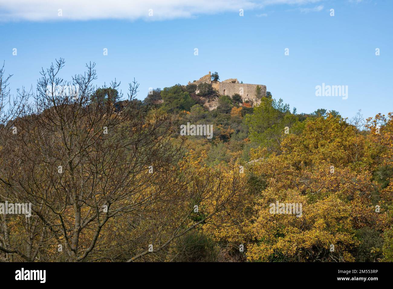 Ruins of the castle of Castellas, over Rocbaron and Forcalquieret in ...