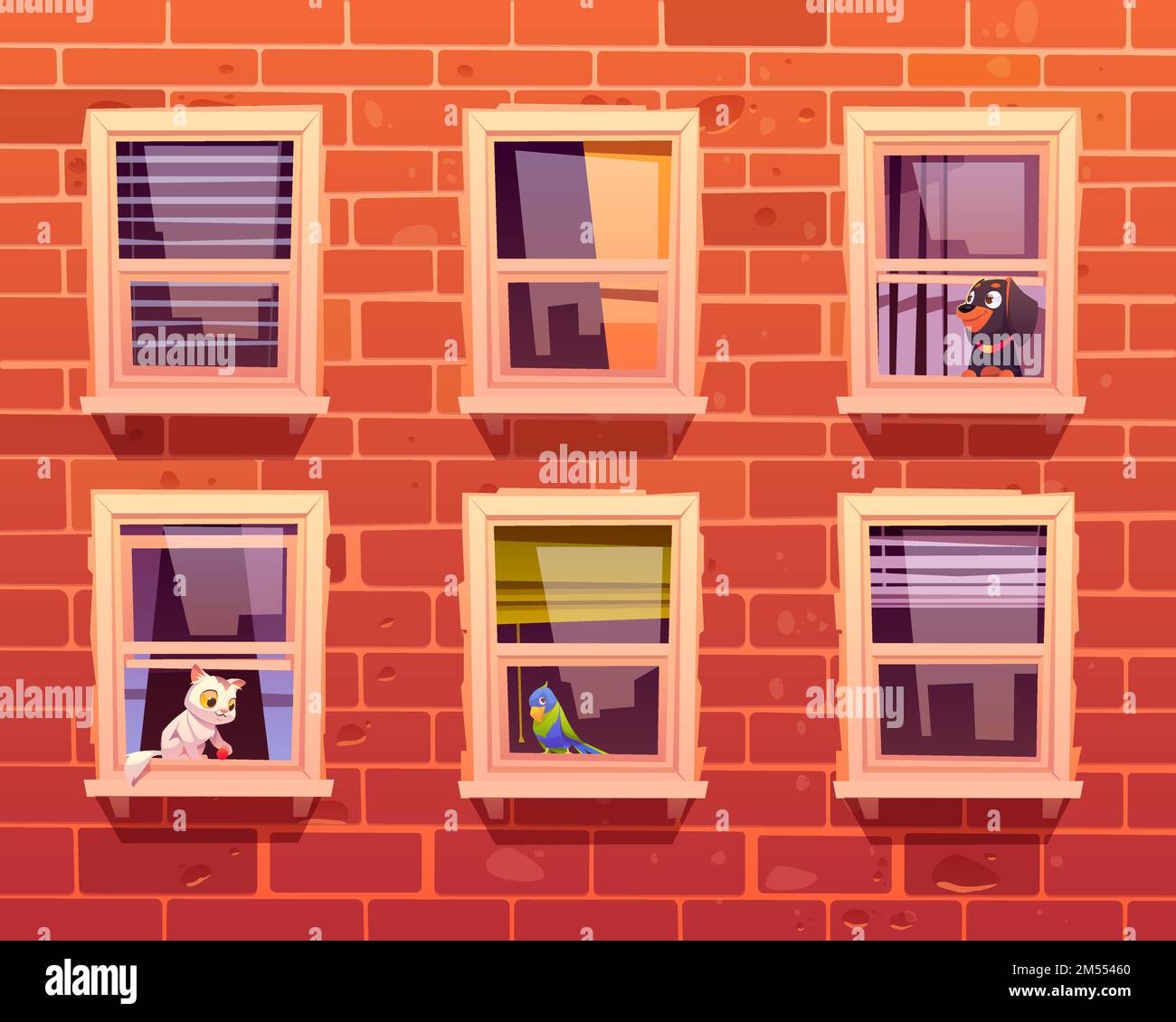 Pets in windows, cat, dog and parrot sit on windowsills inside of room ...