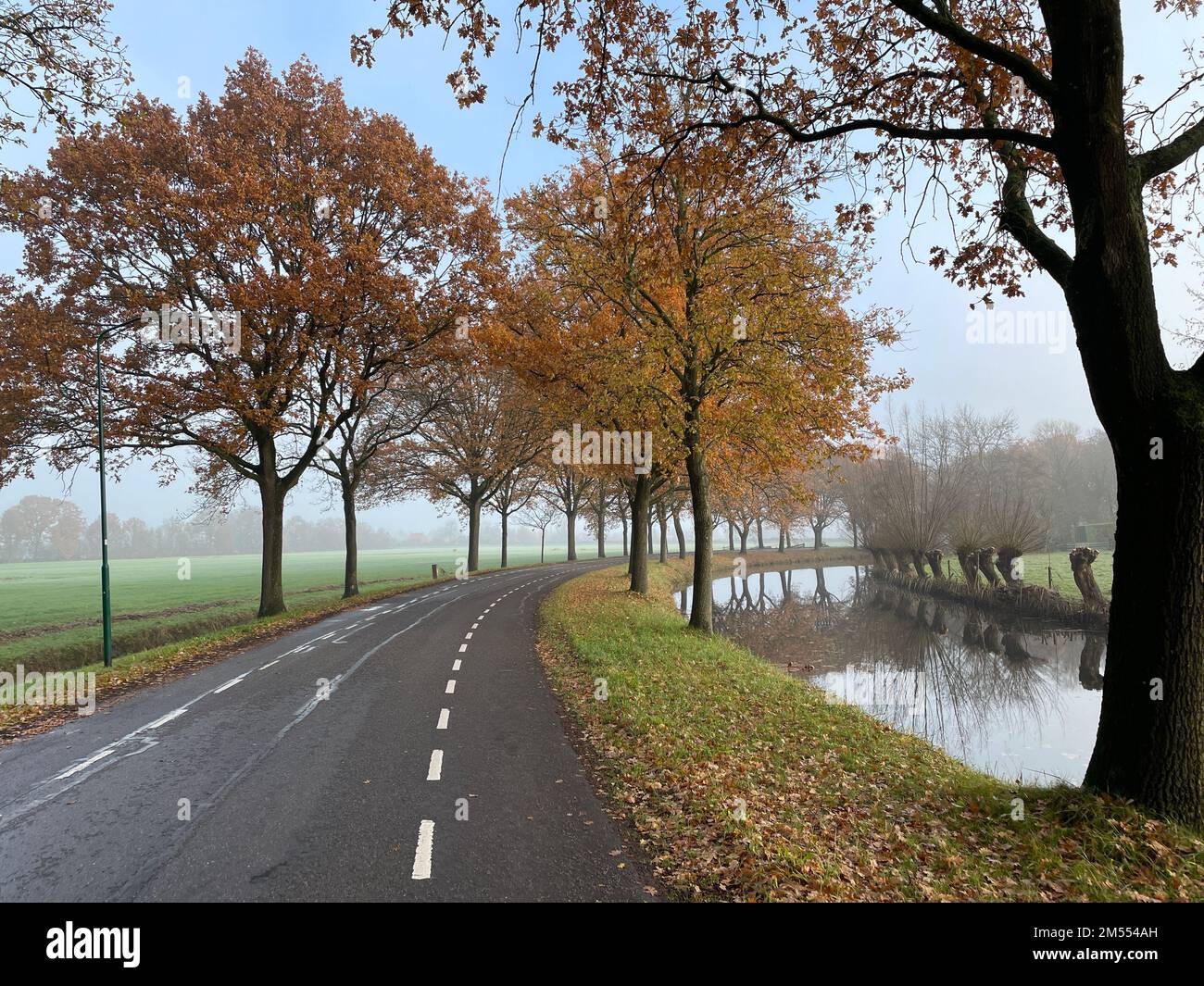 A winding asphalt road by shallow stream and golden autumn trees Stock ...