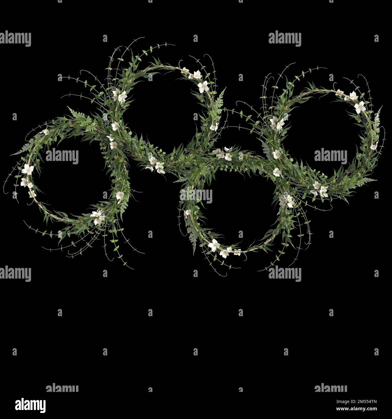 3d illustration of ring leaf isolated on black background Stock Photo ...