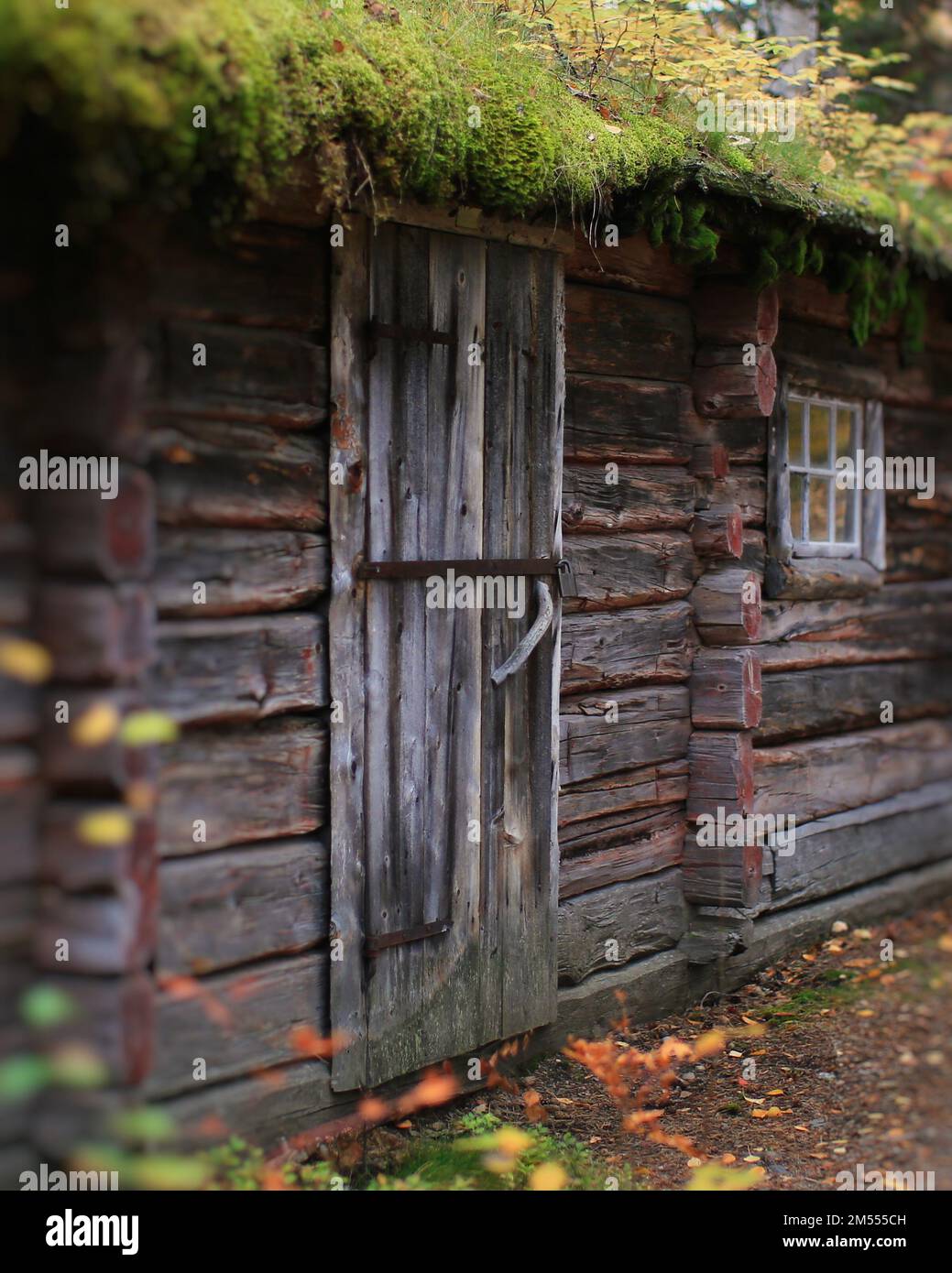 Front door of historic log hut in northern Sweden Stock Photo - Alamy