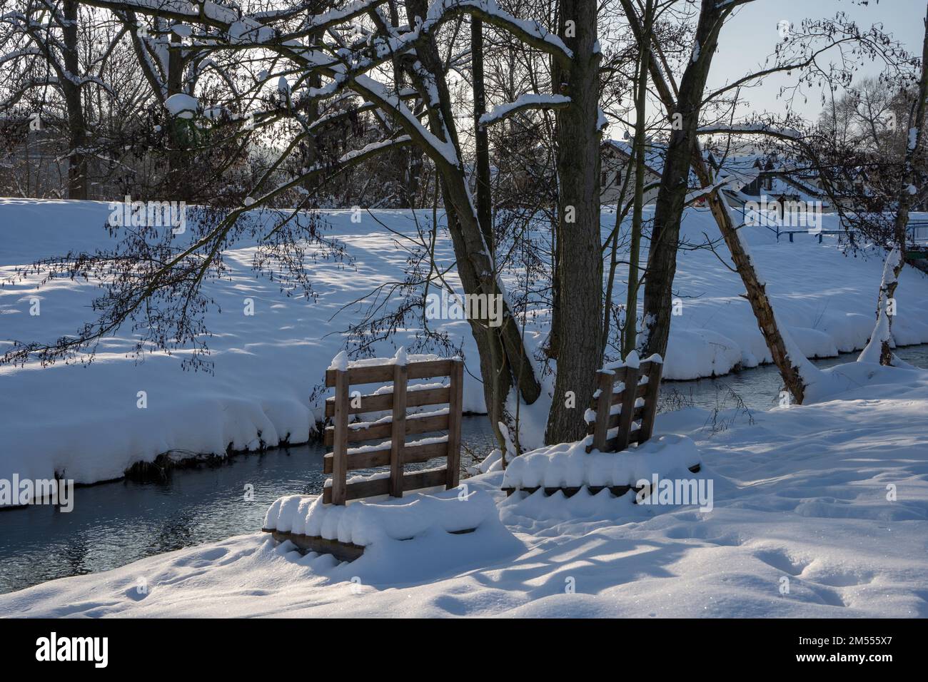 Krakow forest hi-res stock photography and images - Alamy