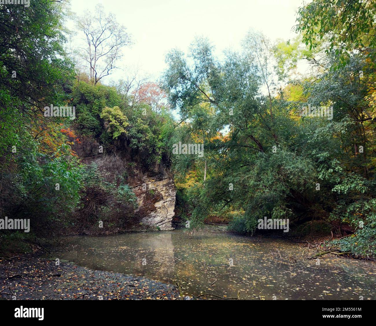 Nature reclaiming an abandoned quarry in Germany Stock Photo - Alamy