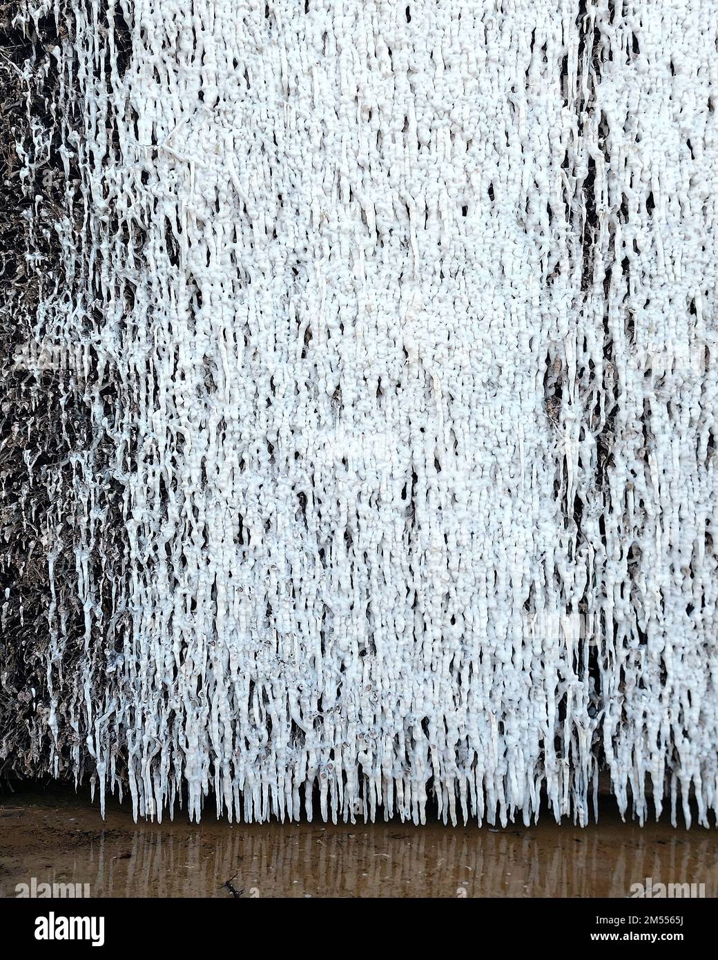 Salt crust from salty brine at the graduation tower in Bad Salzelmen ...