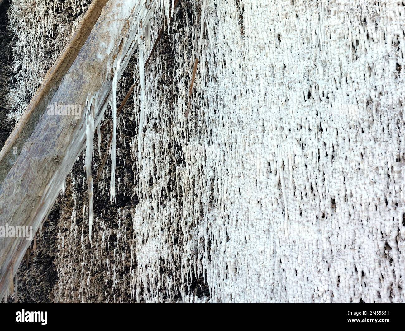 Salt crust from salty brine at the graduation tower in Bad Salzelmen ...