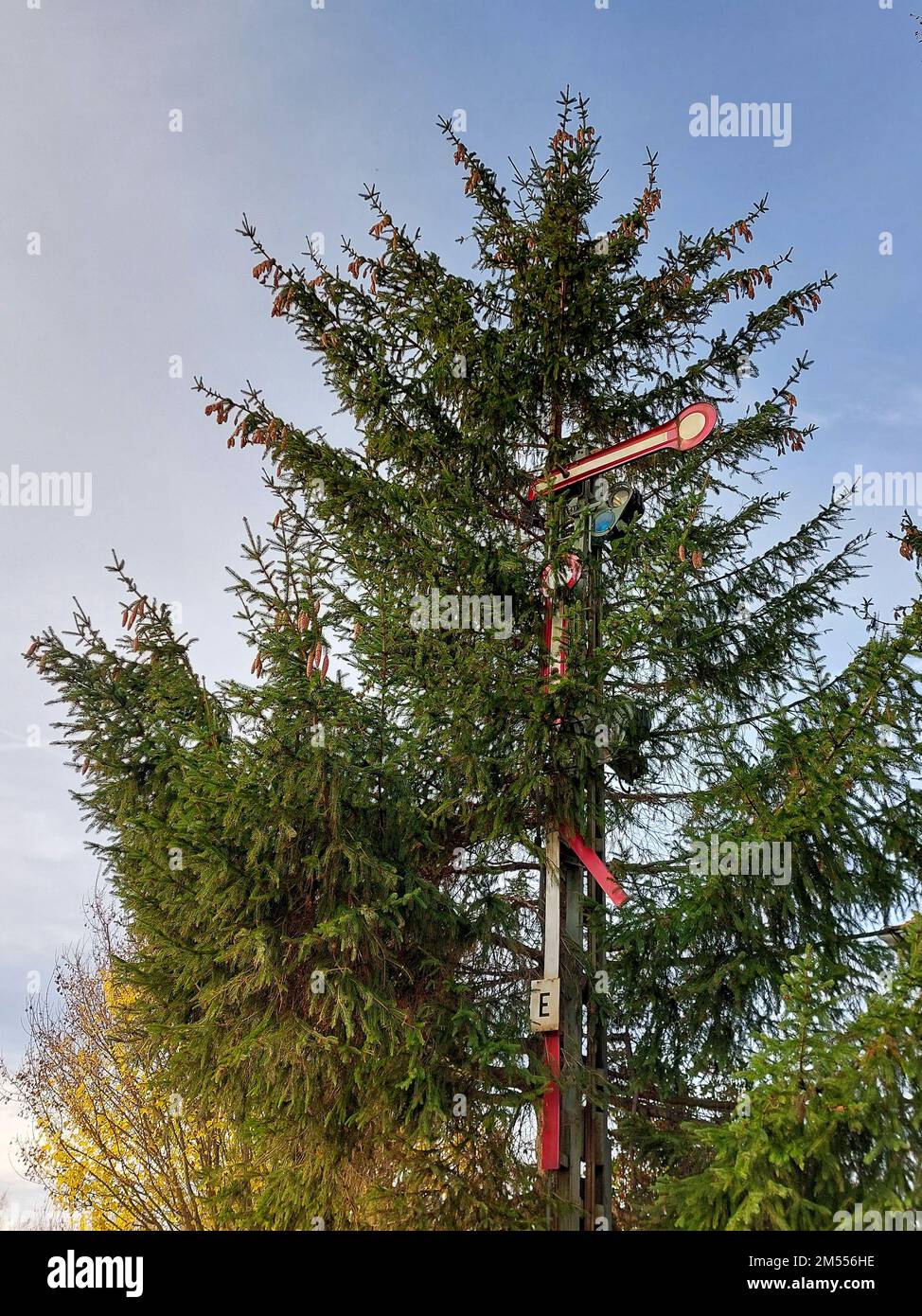Overgrown and disused railway signal in Germany Stock Photo - Alamy