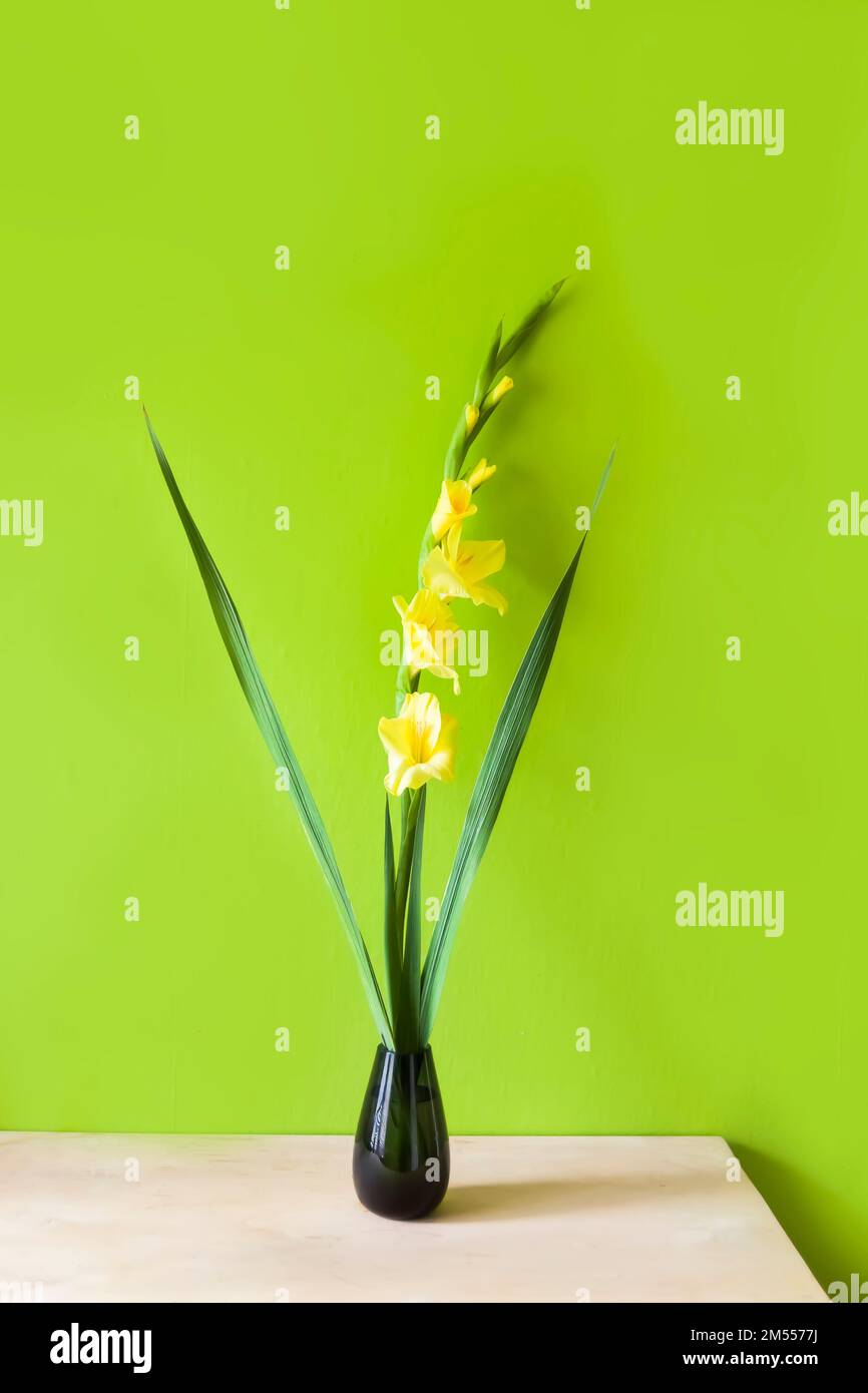 Vase fresh gladiolus flowers hi-res stock photography and images - Alamy