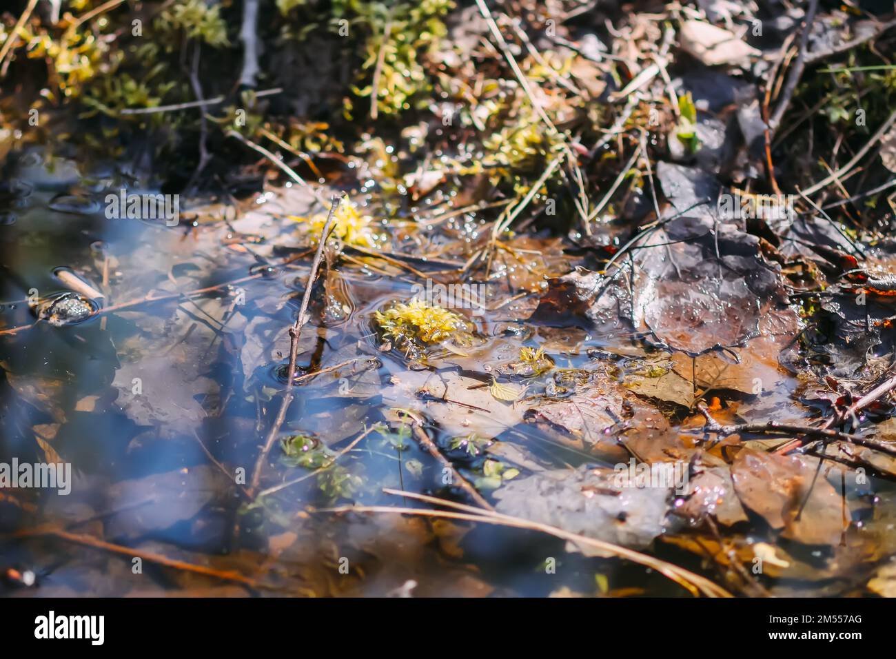 Deep creek range hi-res stock photography and images - Alamy