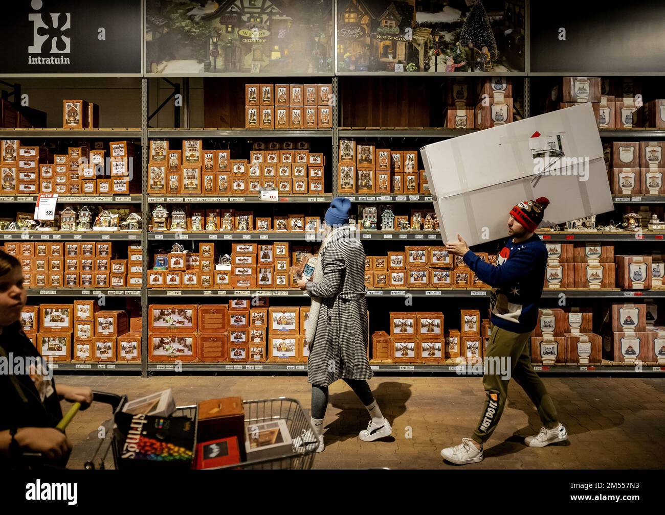 Two pigeons on shelf hi-res stock photography and images - Alamy