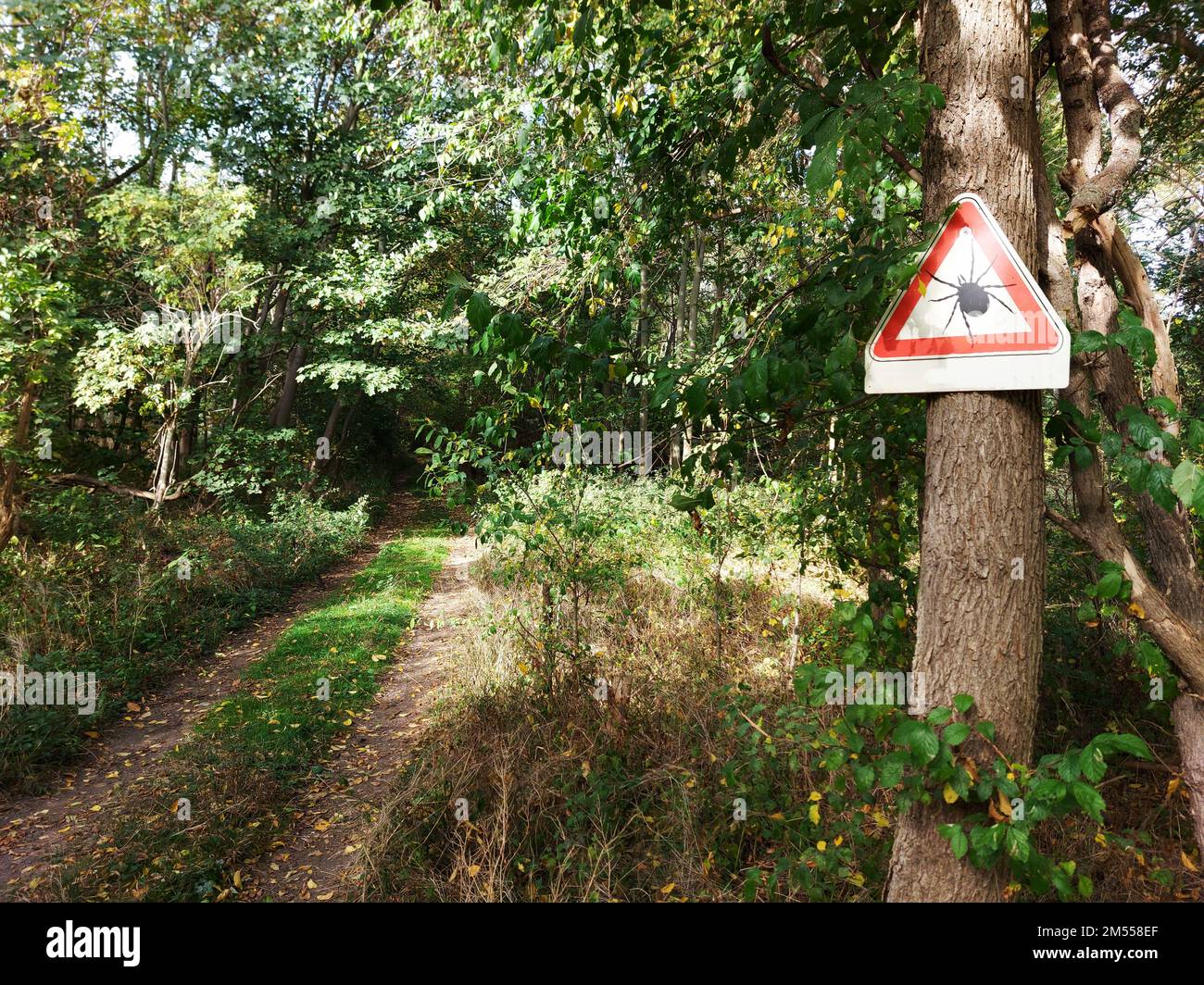 Tick warning sign at the entrance of forest Stock Photo - Alamy