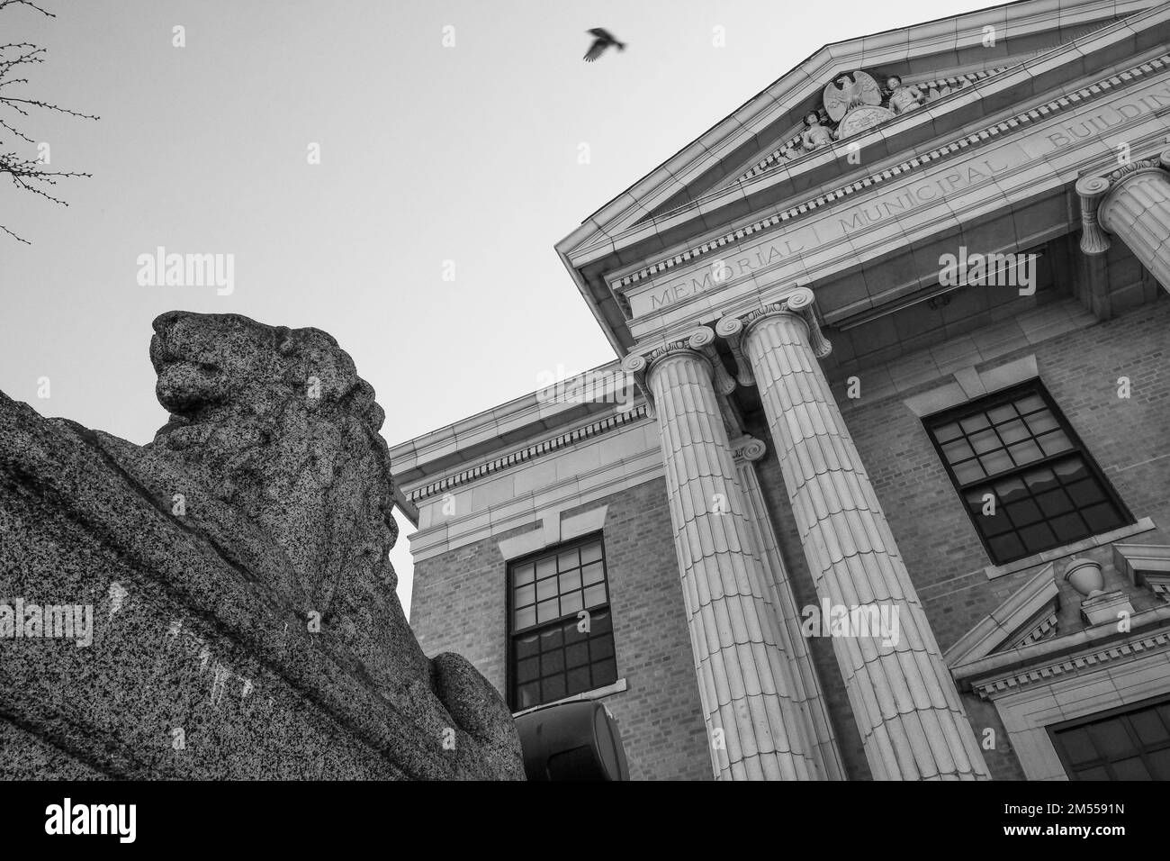 A low angle grayscale of a beautiful sculpture of a majestic male lion ...