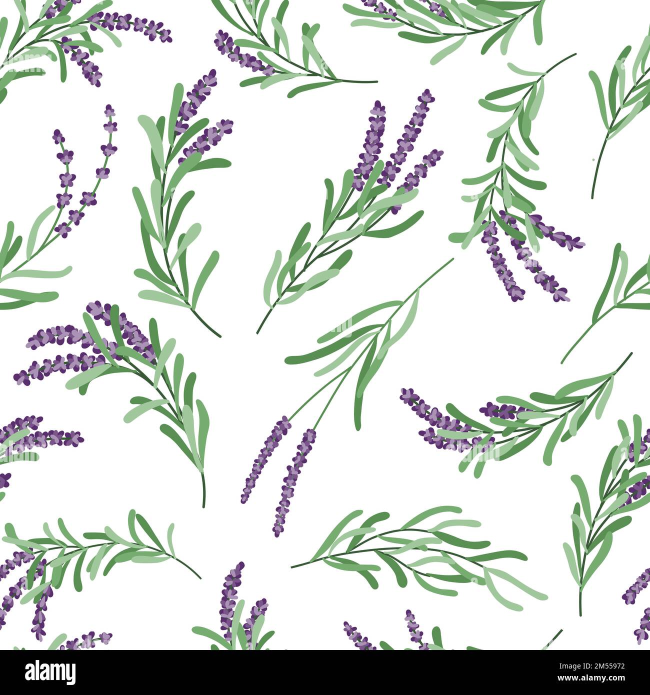 Handdrawn lavender bouquet seamless pattern. Provence herbal repeat ...