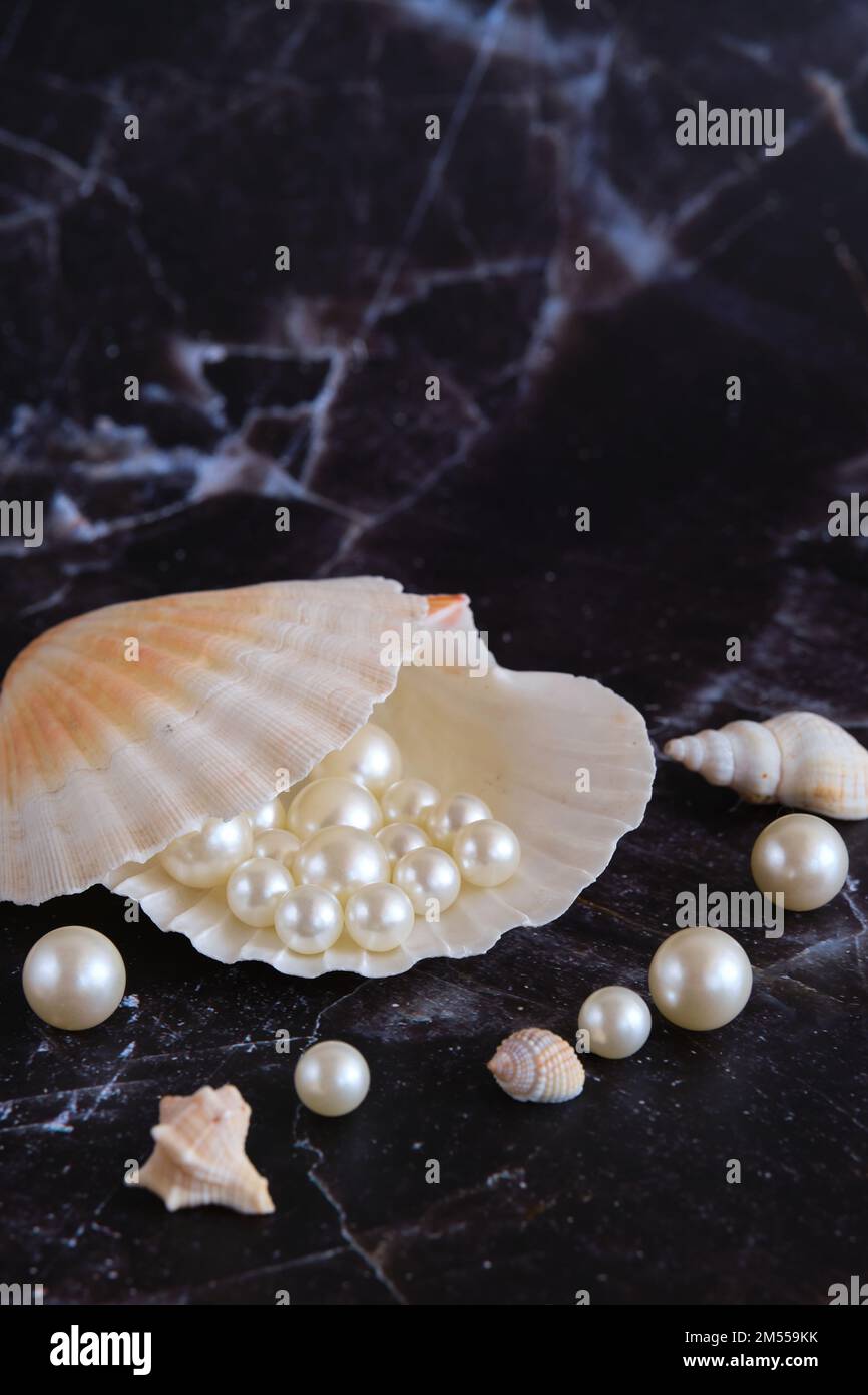 Shell With Pearl Wallpaper