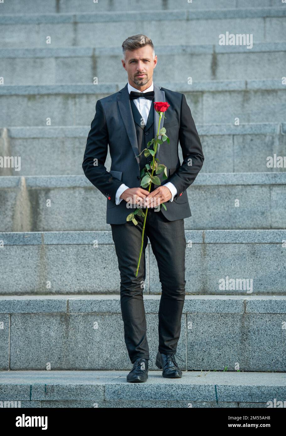 valentine day concept. black tuxedo man with valentine rose. flower ...