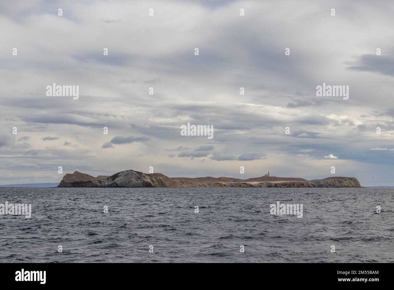 On the natural protected zone of Isla Magdalena there is living a ...