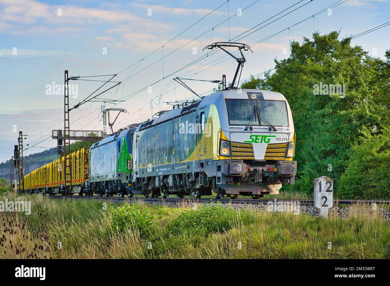 A SETG train of Siemens Vectron of the 193 series passing through ...