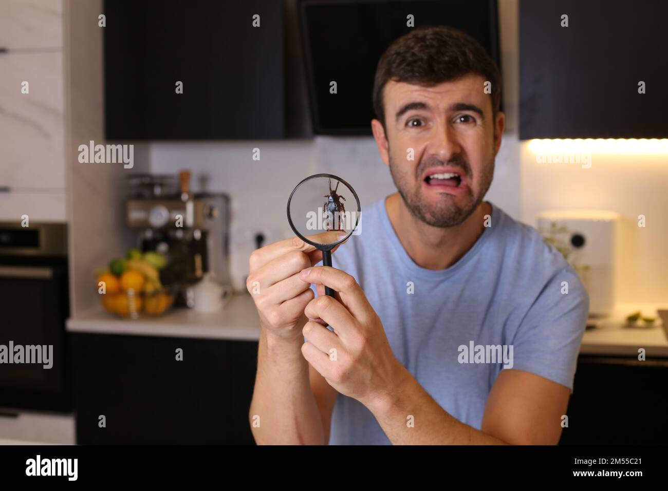 Shocked man observing a cockroach through magnifying glass Stock Photo ...