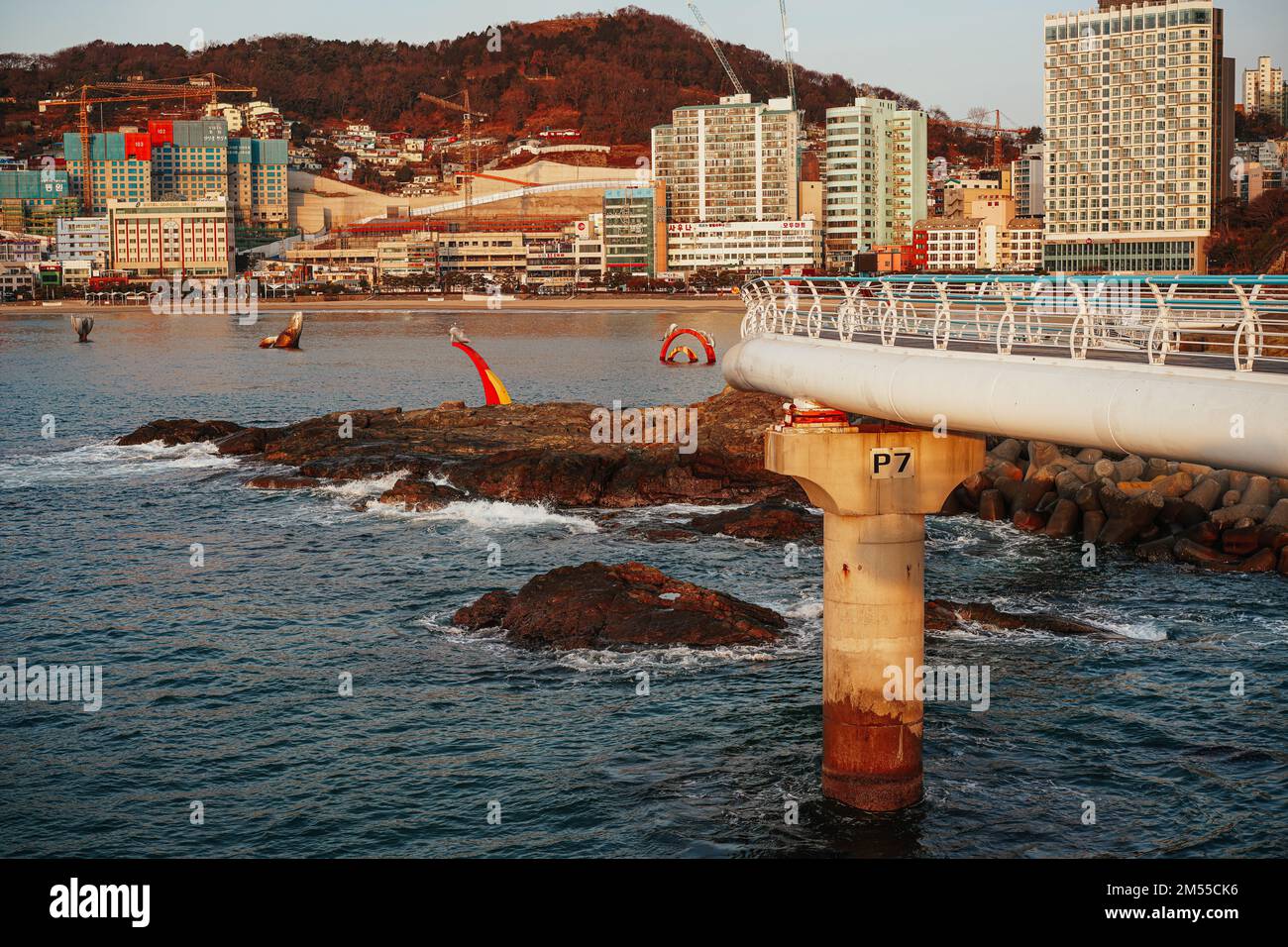 landscape of beach near ocean Stock Photo - Alamy
