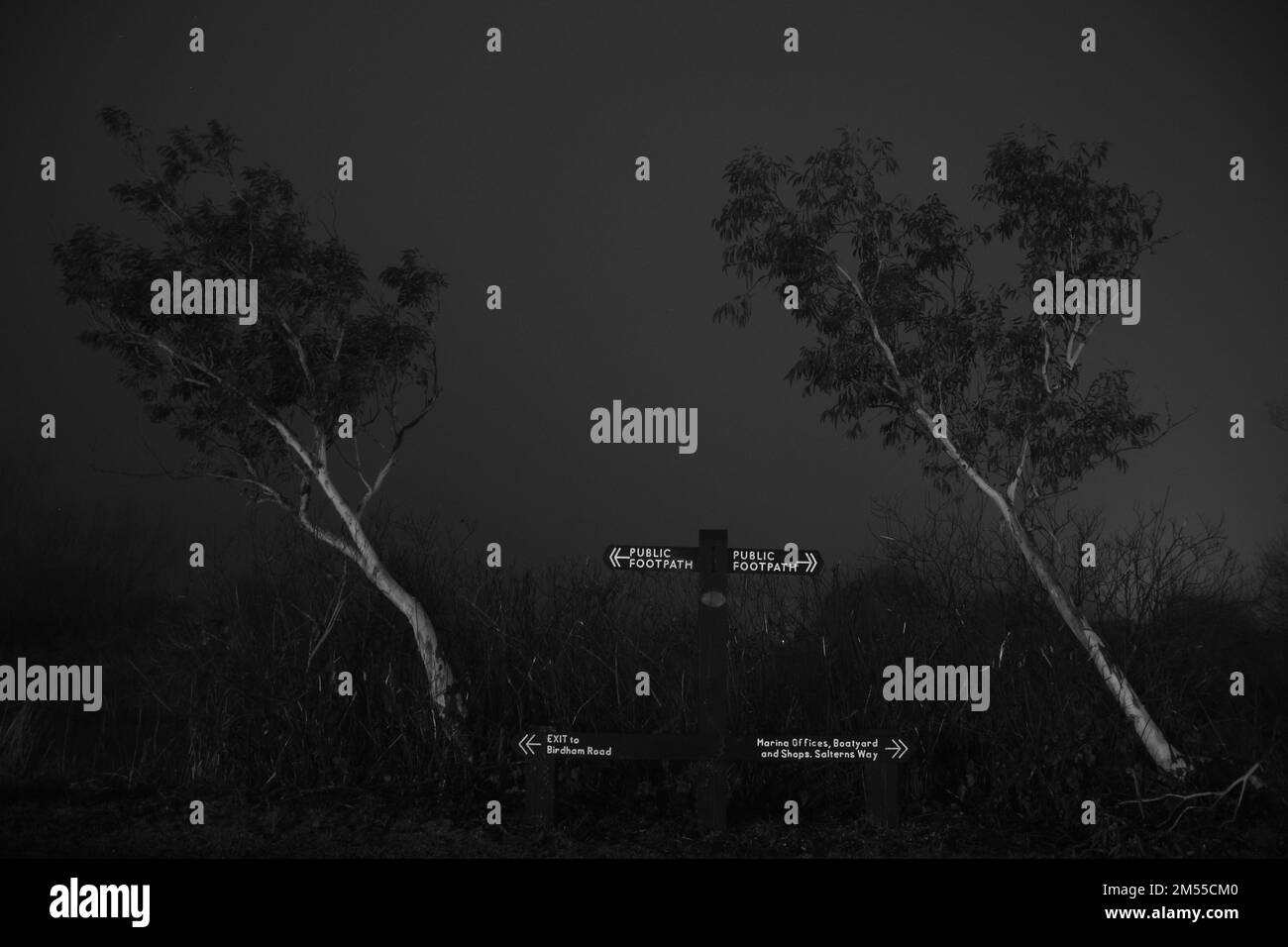 A black and white view of symbols showing way with trees around Stock ...