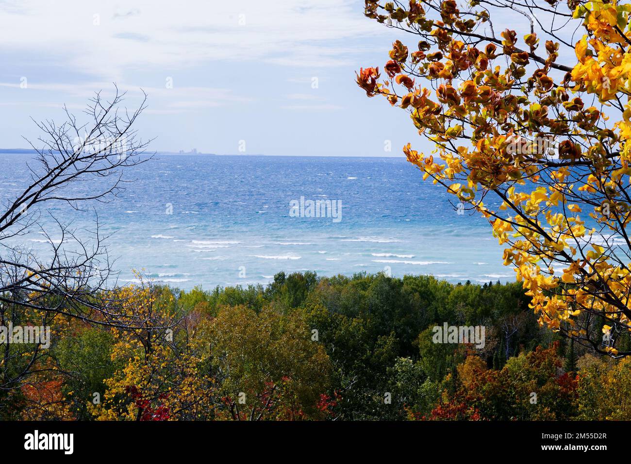A beautiful shot of all trees near the water of the Tunnel of Trees in ...