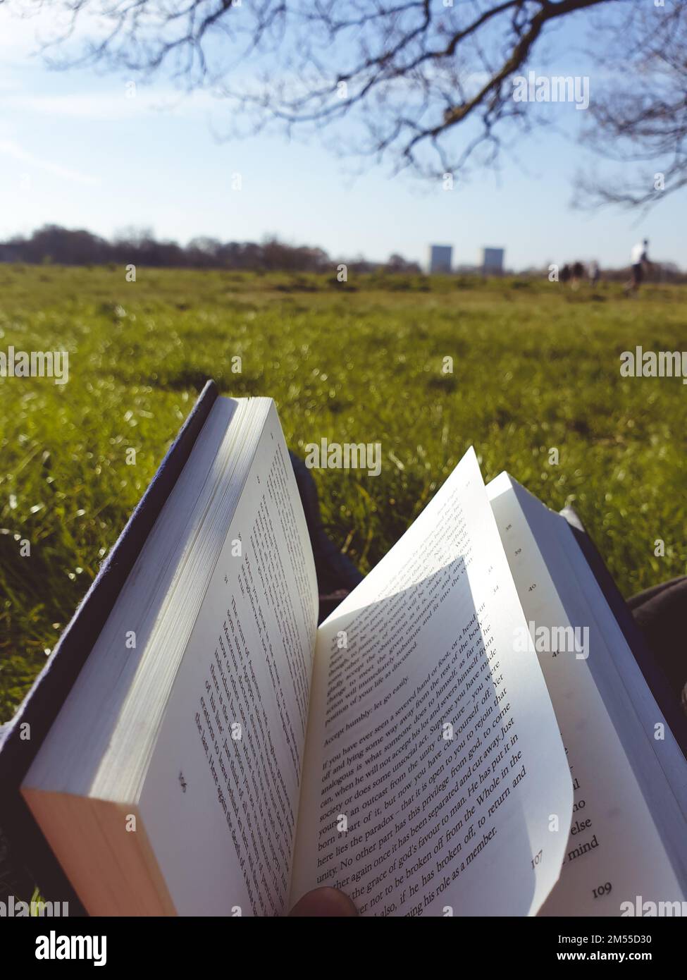 Text open field hi-res stock photography and images - Alamy