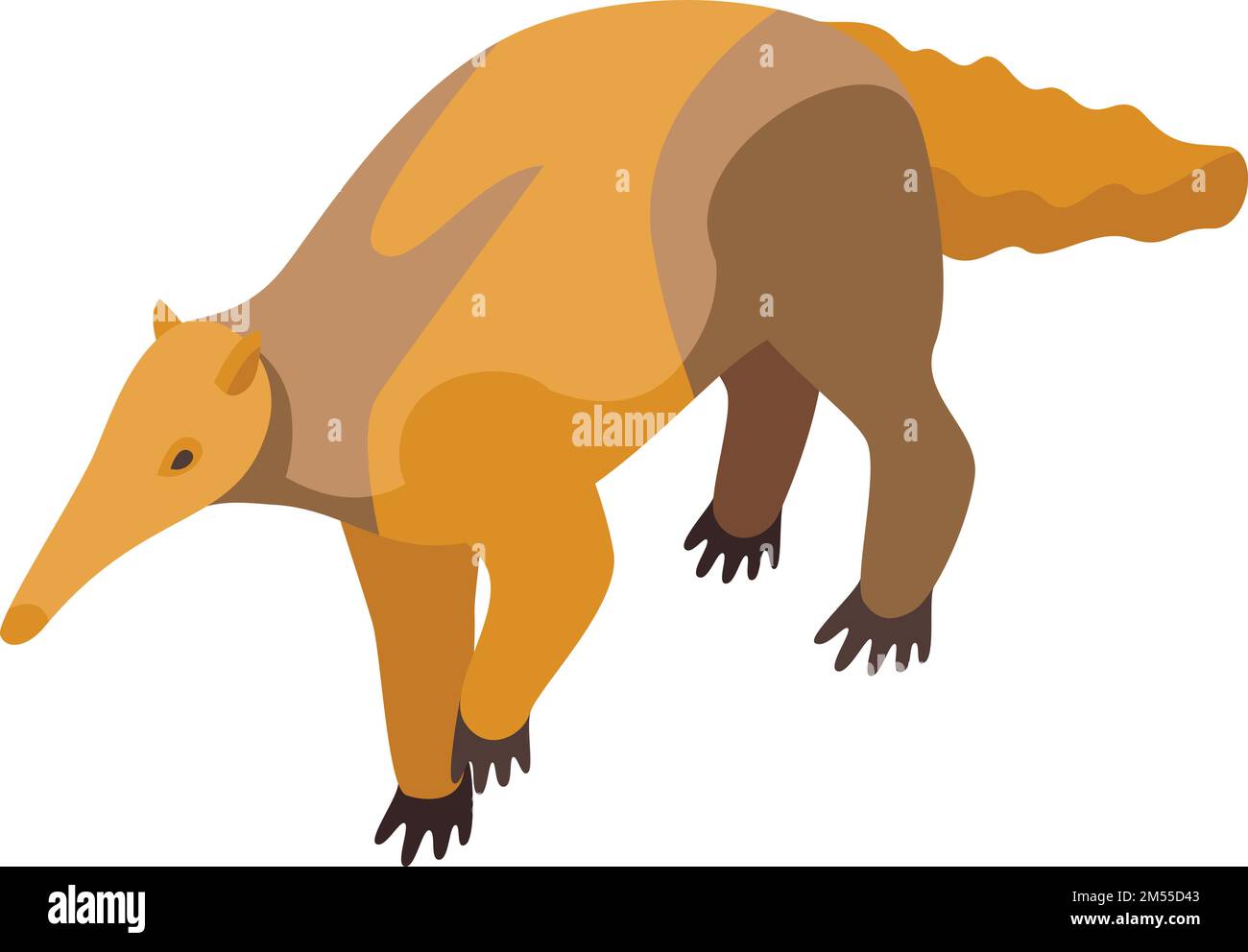 Tropical anteater icon isometric vector. Forest animal. Wild mammal ...