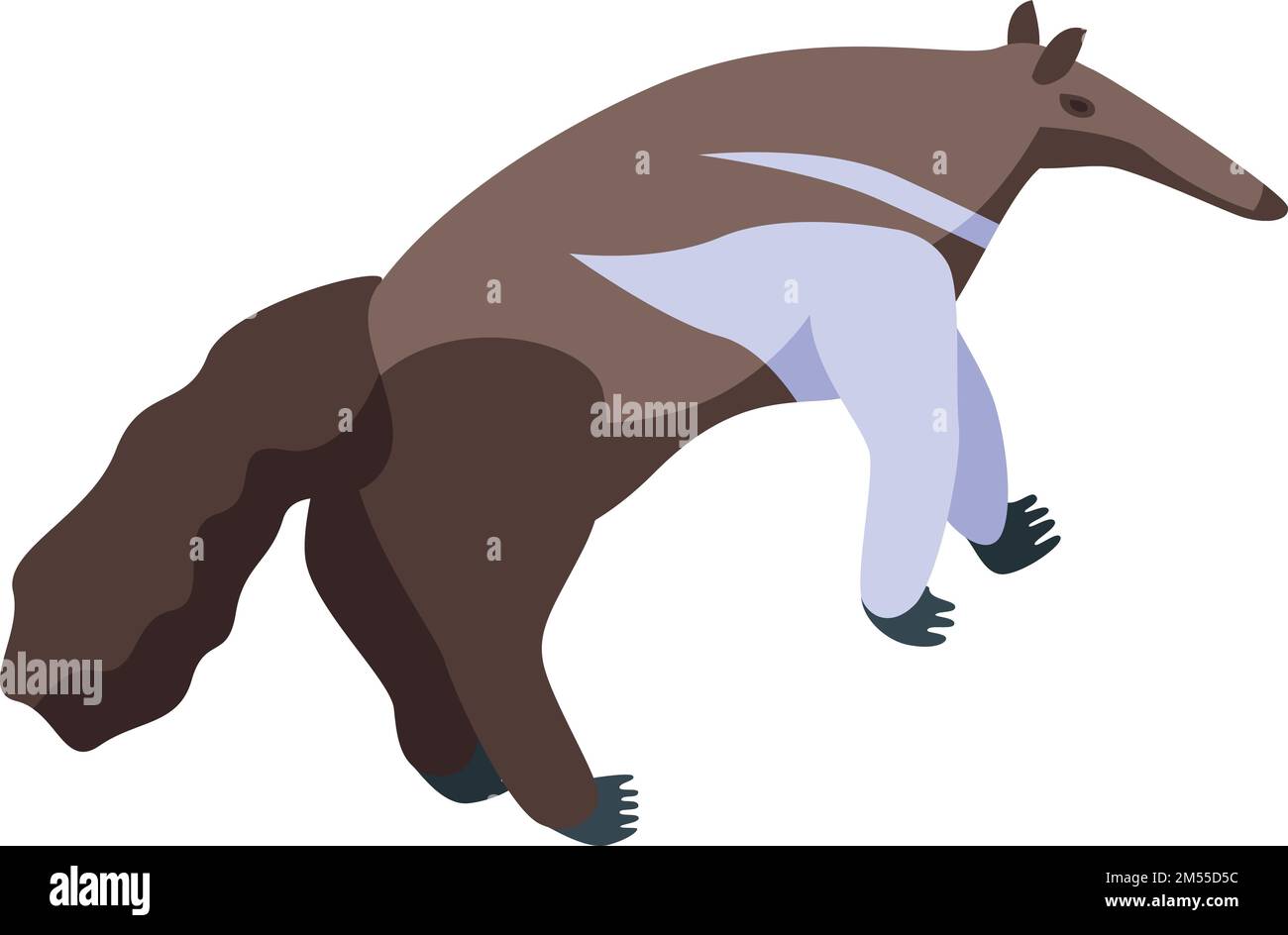 Cute anteater icon isometric vector. Giant baby. Mammal fauna Stock ...