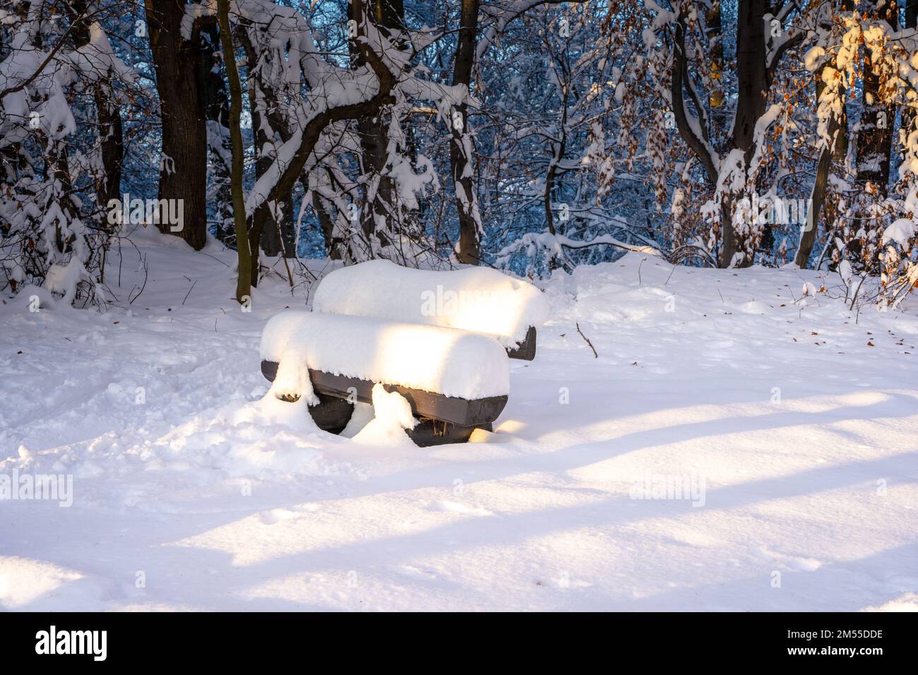 Wolski forest krakow hi-res stock photography and images - Alamy