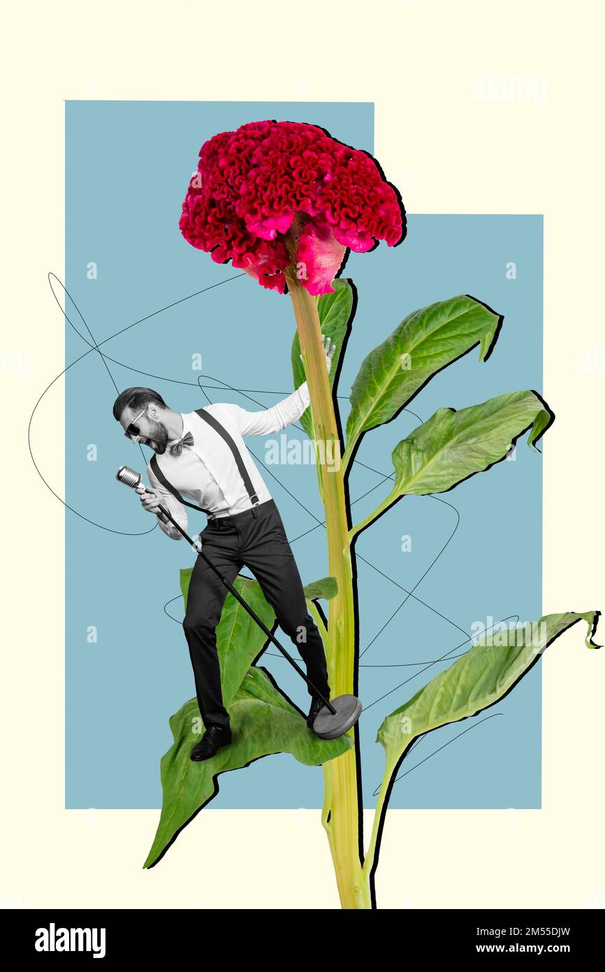 Collage photo of young singer cool star celebrity performer hold ...