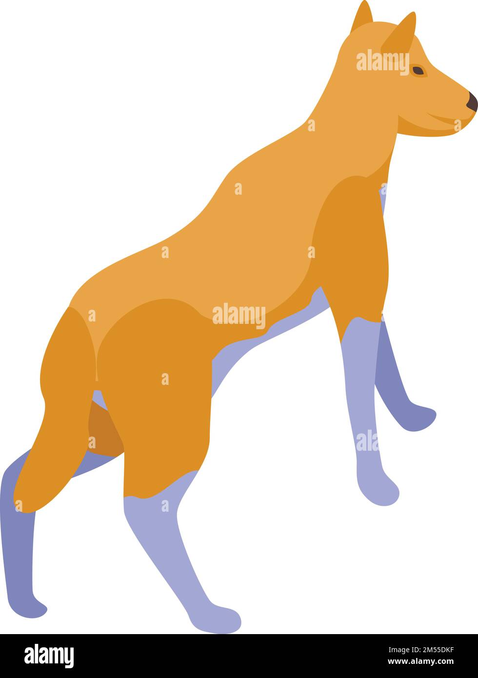 Safari dog icon isometric vector. Wild animal. Africa predator Stock ...