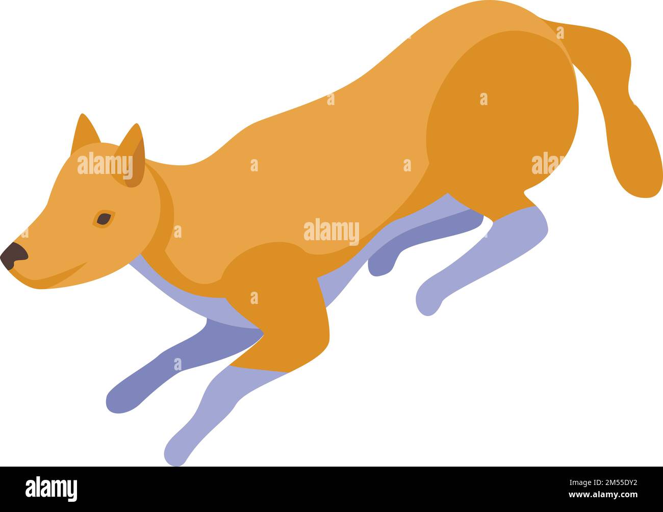 Carnivore dog icon isometric vector. Wild animal. Canine breed Stock ...