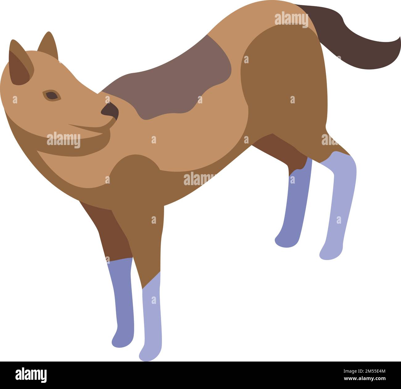 Predator dog icon isometric vector. Wild animal. Mammal wildlife Stock ...